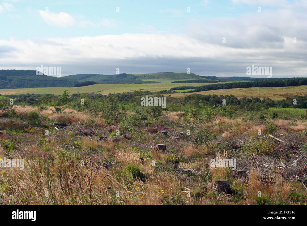 Burn Howe Moor Stock Photo - Alamy
