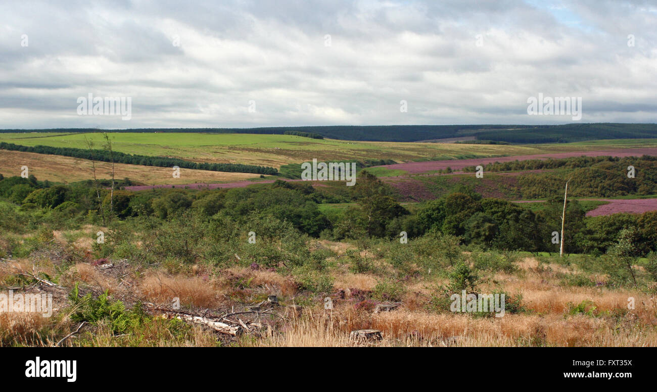Jugger howe slack hi-res stock photography and images - Alamy
