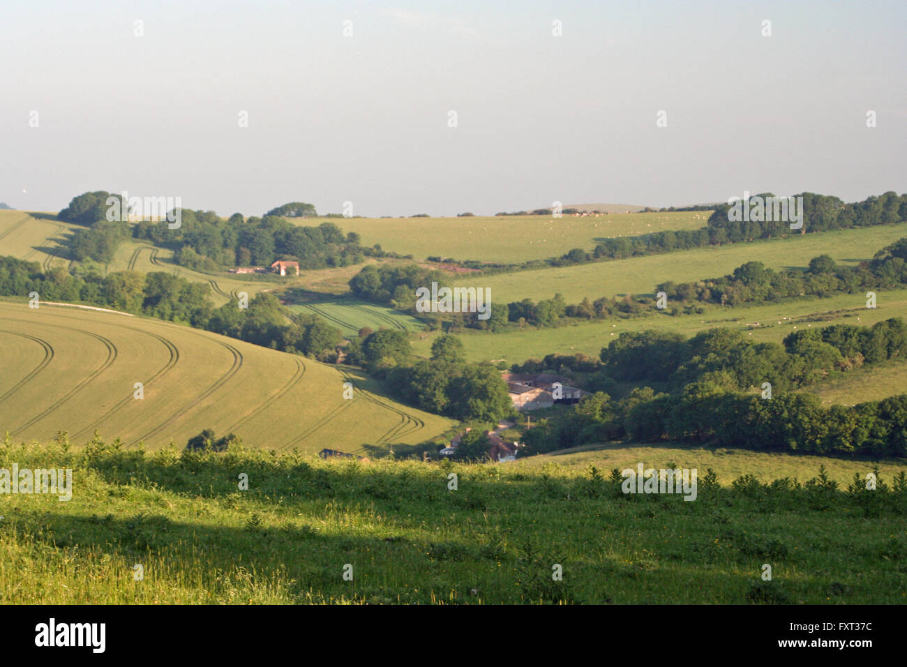 Ditchling road hi-res stock photography and images - Alamy
