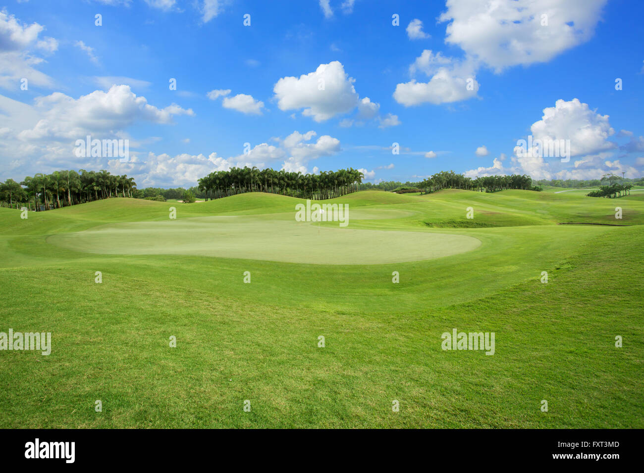 Flag golf course hi-res stock photography and images - Alamy