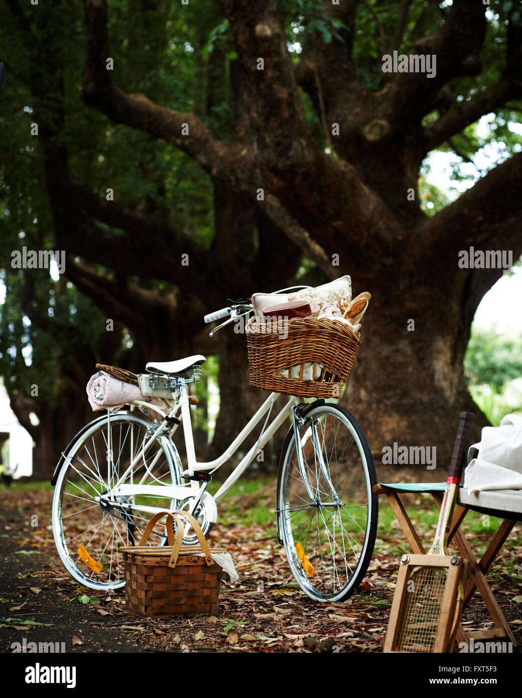 Trees basket hi-res stock photography and images - Alamy