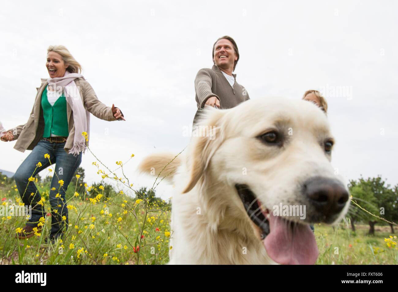 Happy family running with pet dog in park Stock Photo - Alamy