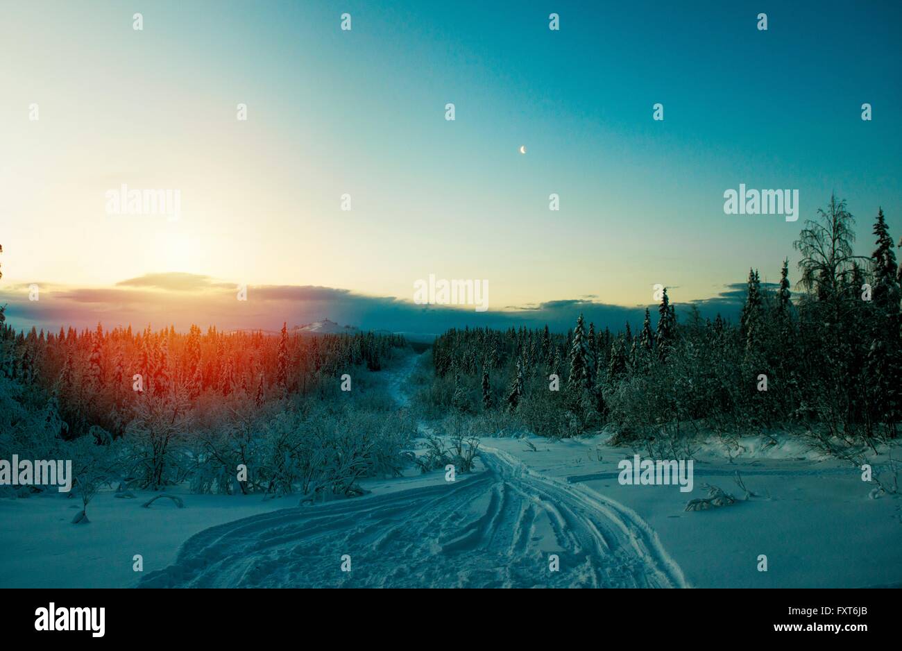 Russia white color winter hi-res stock photography and images - Alamy