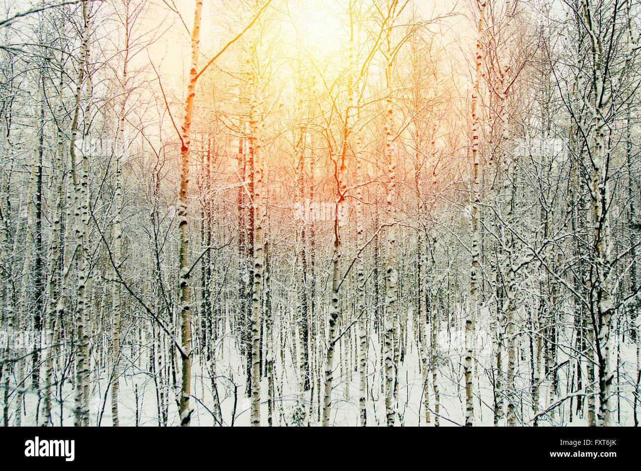 Sunset russia hi-res stock photography and images - Alamy