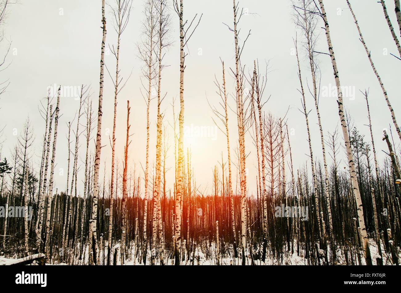 Sunset russia hi-res stock photography and images - Alamy