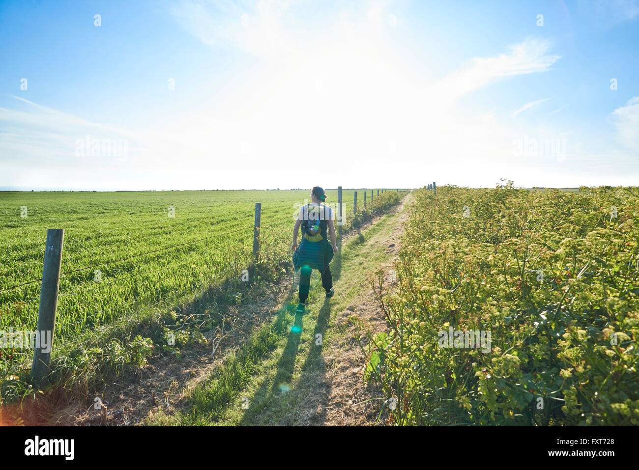Rear view of hiker with backpack hiking on path in field Stock Photo ...
