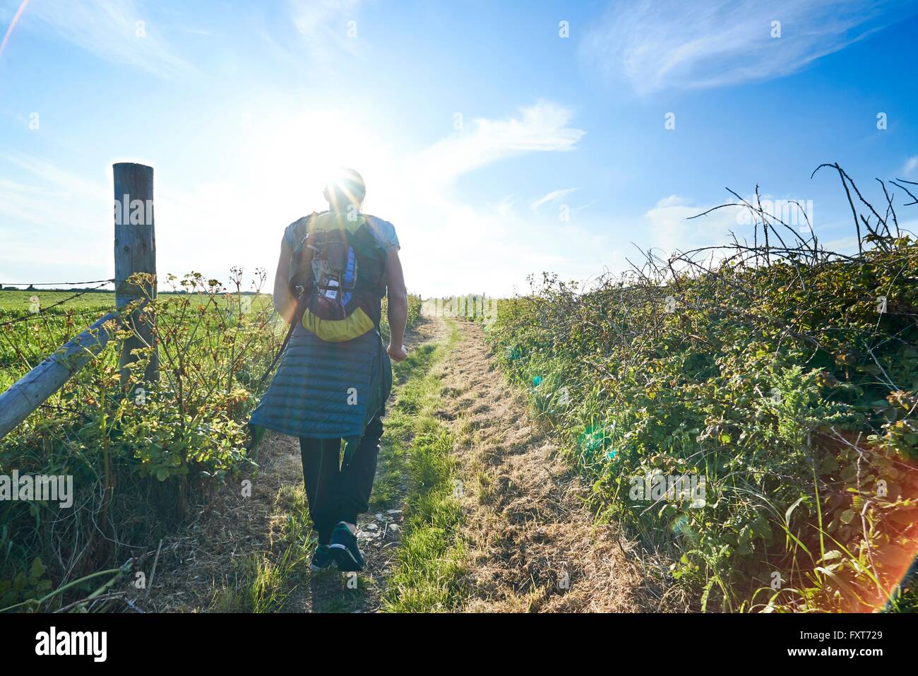 Rear view of hiker with backpack hiking on path in field Stock Photo ...