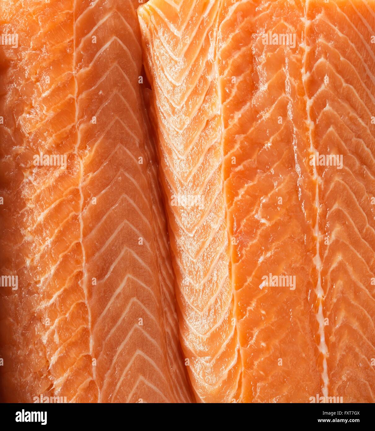 Salmon, whole side Stock Photo - Alamy