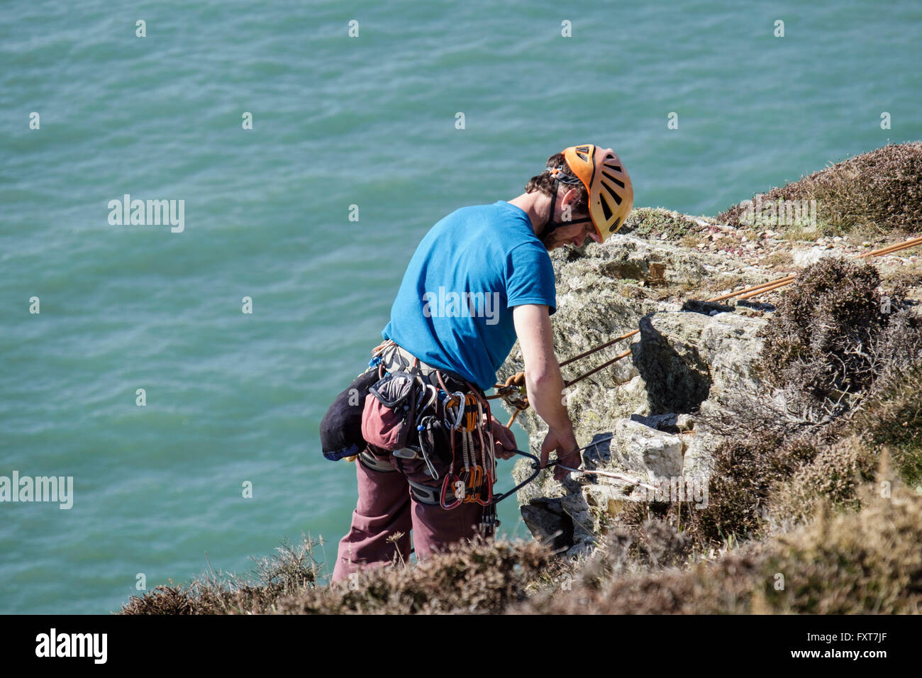 Rock climber belaying at top of Gogarth coastal cliffs with sea below ...