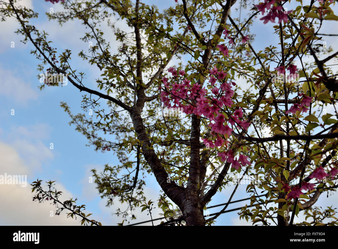 beach / realx Stock Photo - Alamy