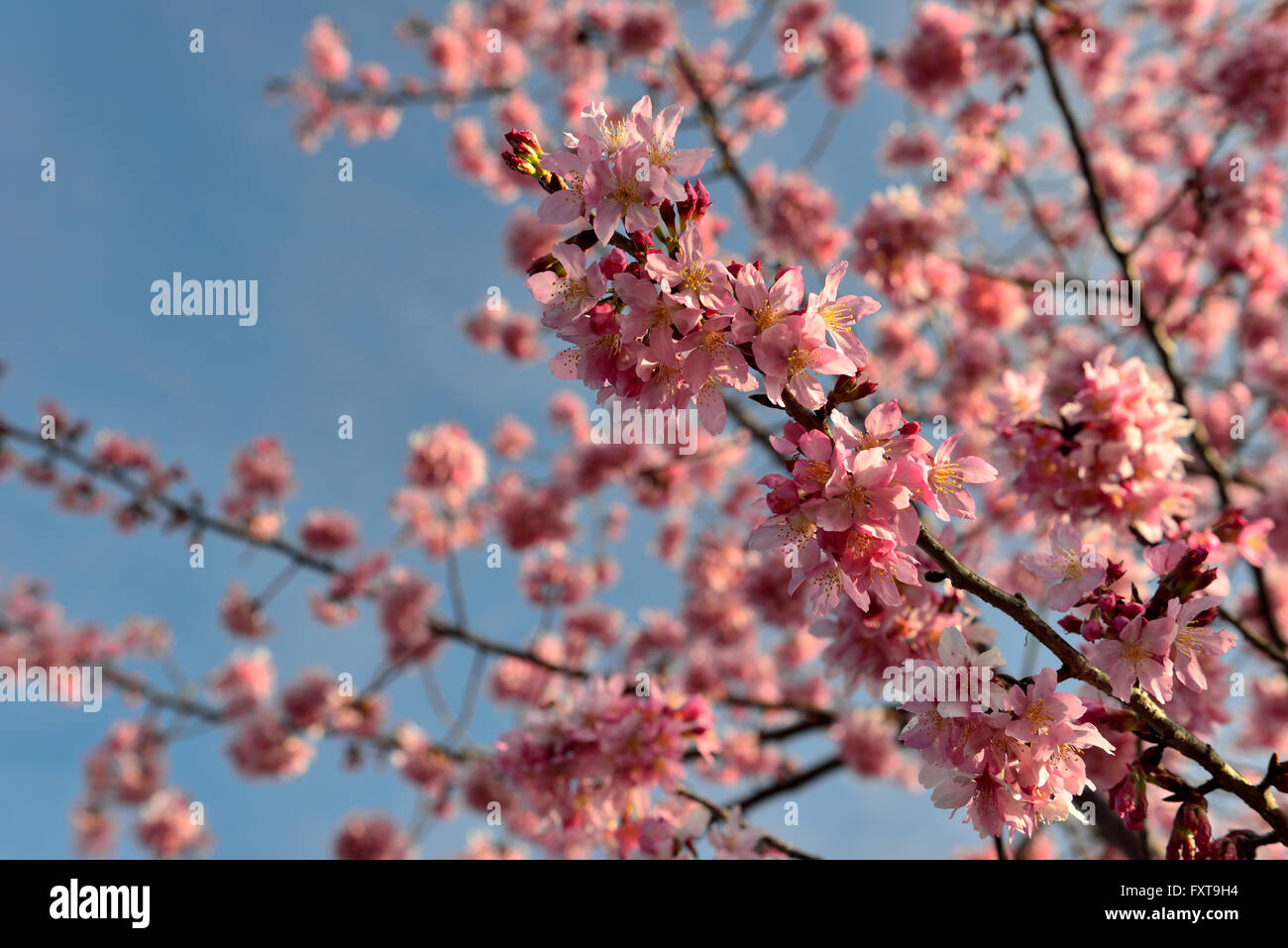 beach / realx Stock Photo - Alamy