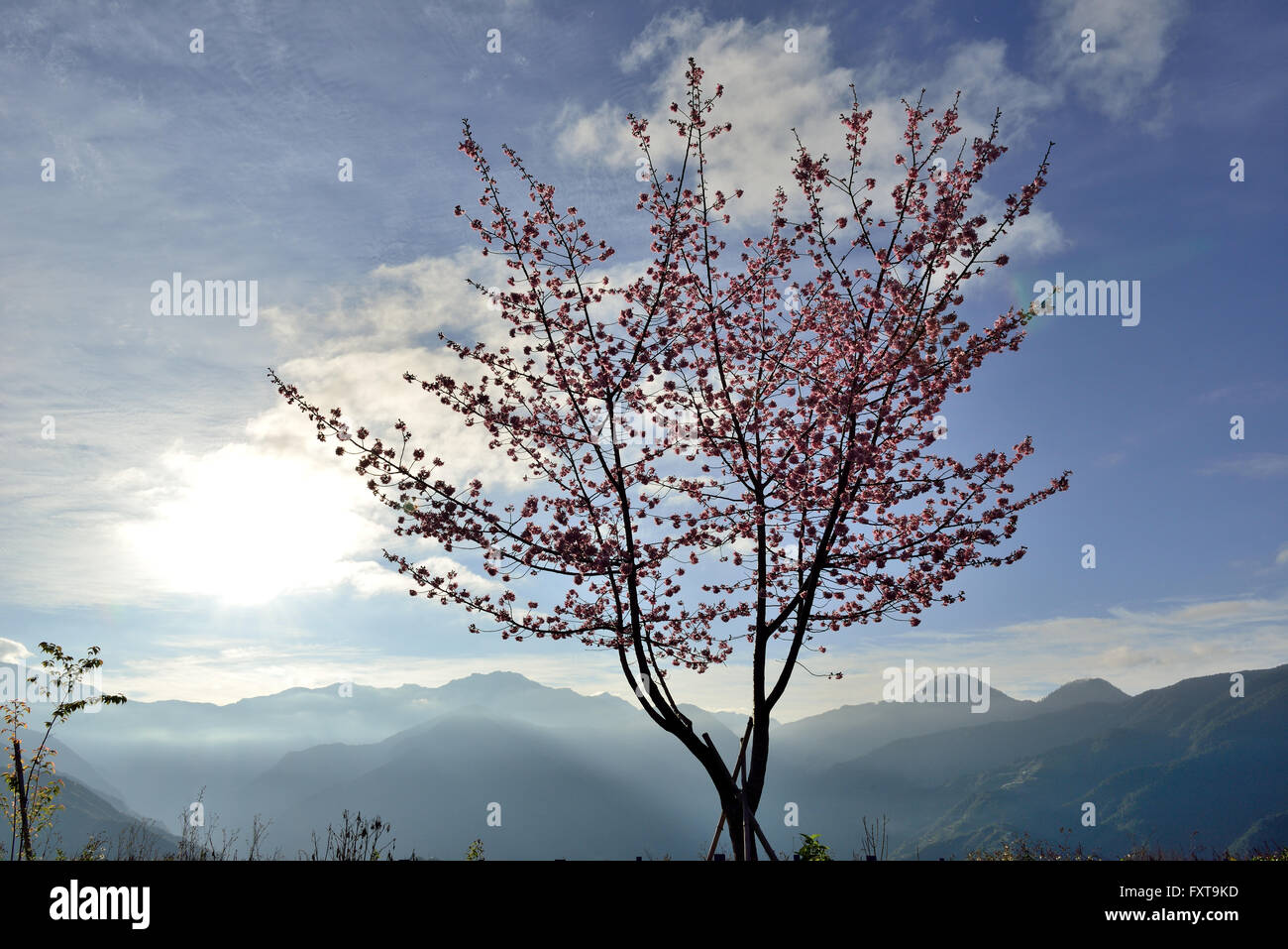 beach / realx Stock Photo - Alamy