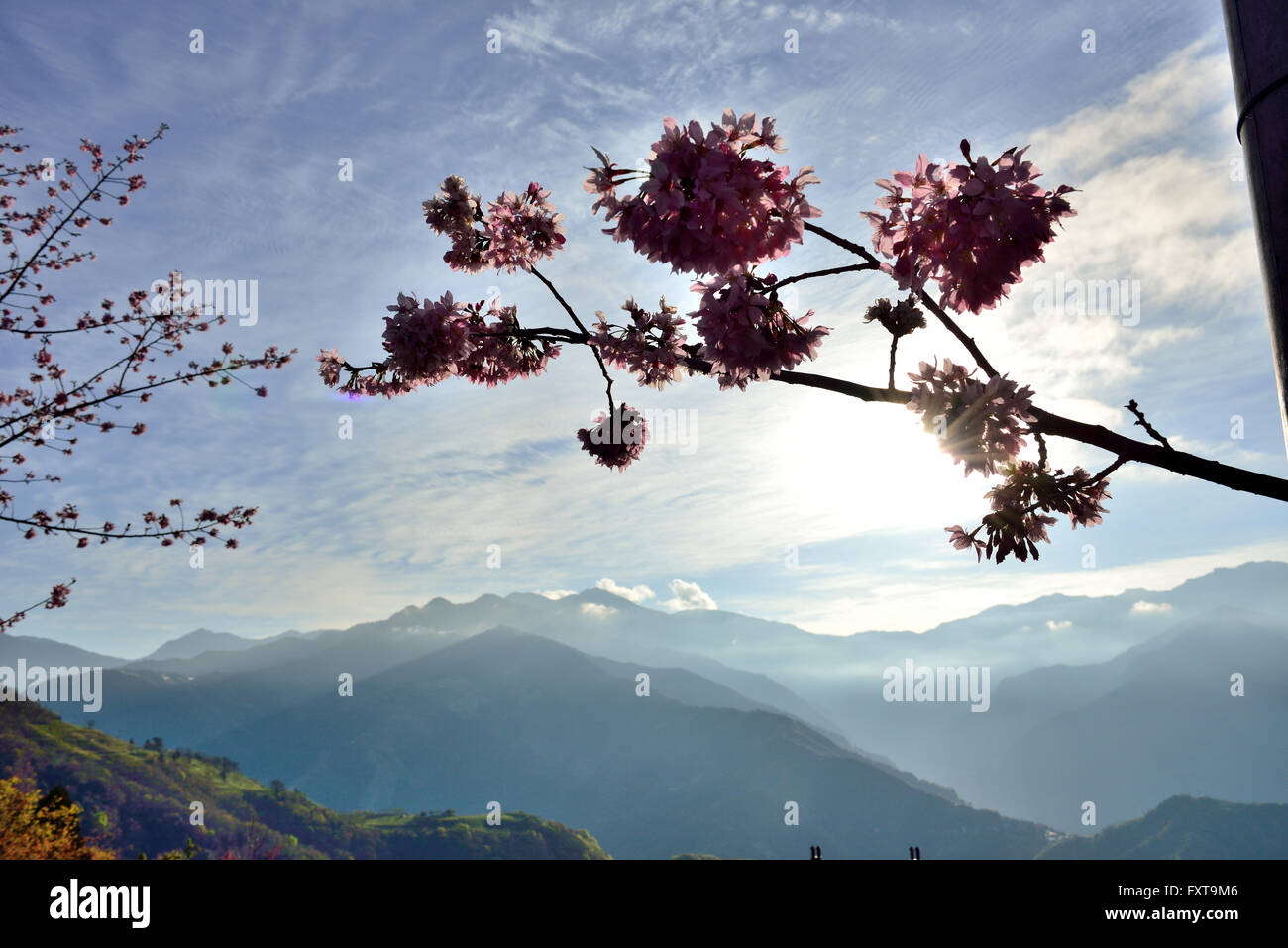 beach / realx Stock Photo - Alamy