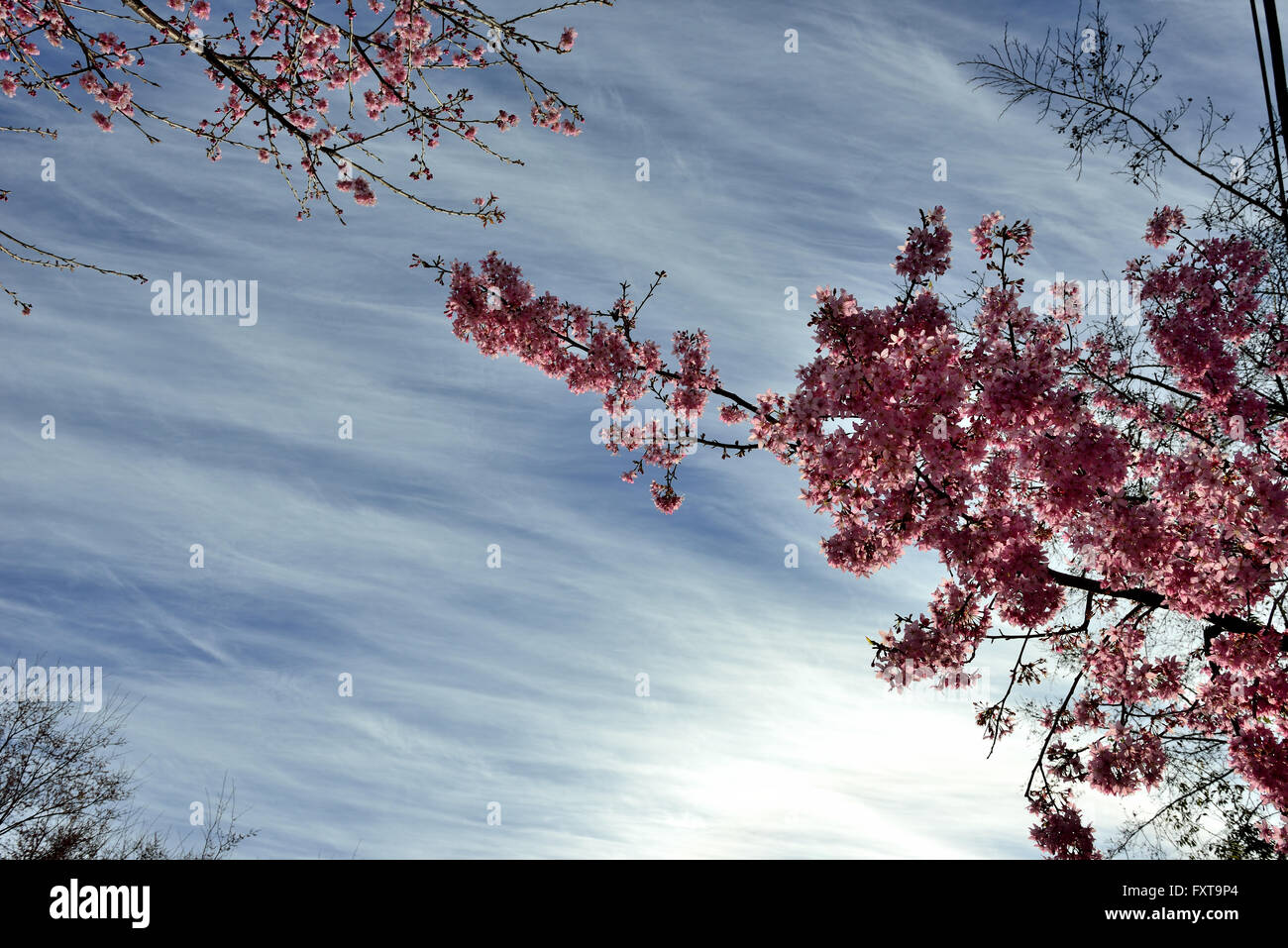 beach / realx Stock Photo - Alamy