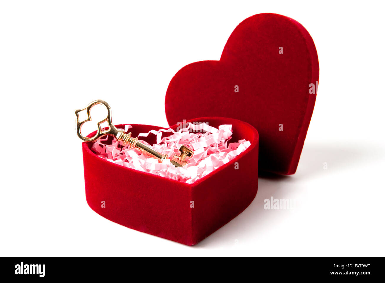 Sensitive image Cut Out Stock Images & Pictures - Alamy