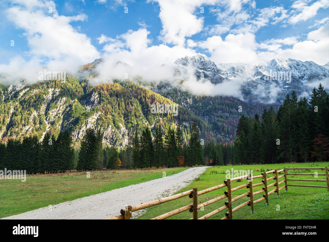 Fall in the italian alps in a misty day Stock Photo - Alamy