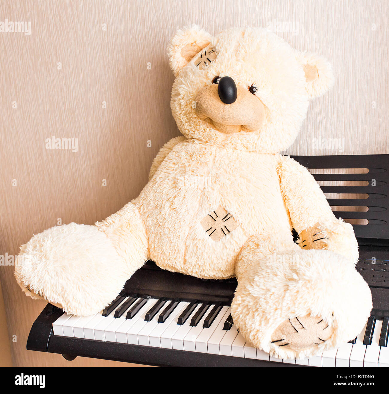 Sitting bear with instrument hi-res stock photography and images - Alamy