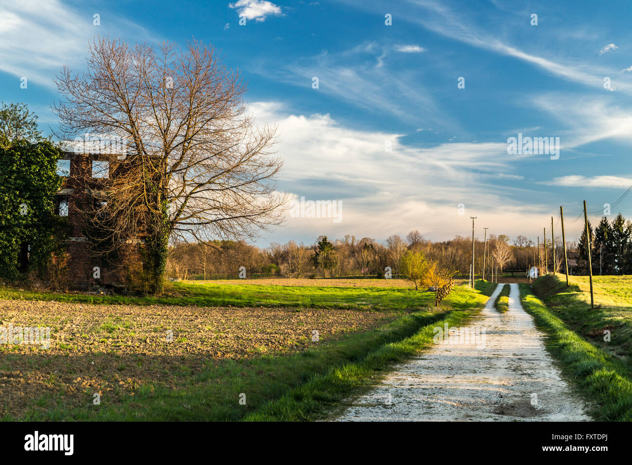 an abandoned and ruined farm in the fields of Italy Stock Photo - Alamy