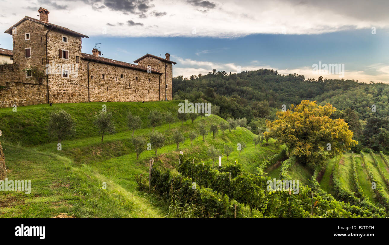 an abandoned and ruined farm in the fields of Italy Stock Photo - Alamy