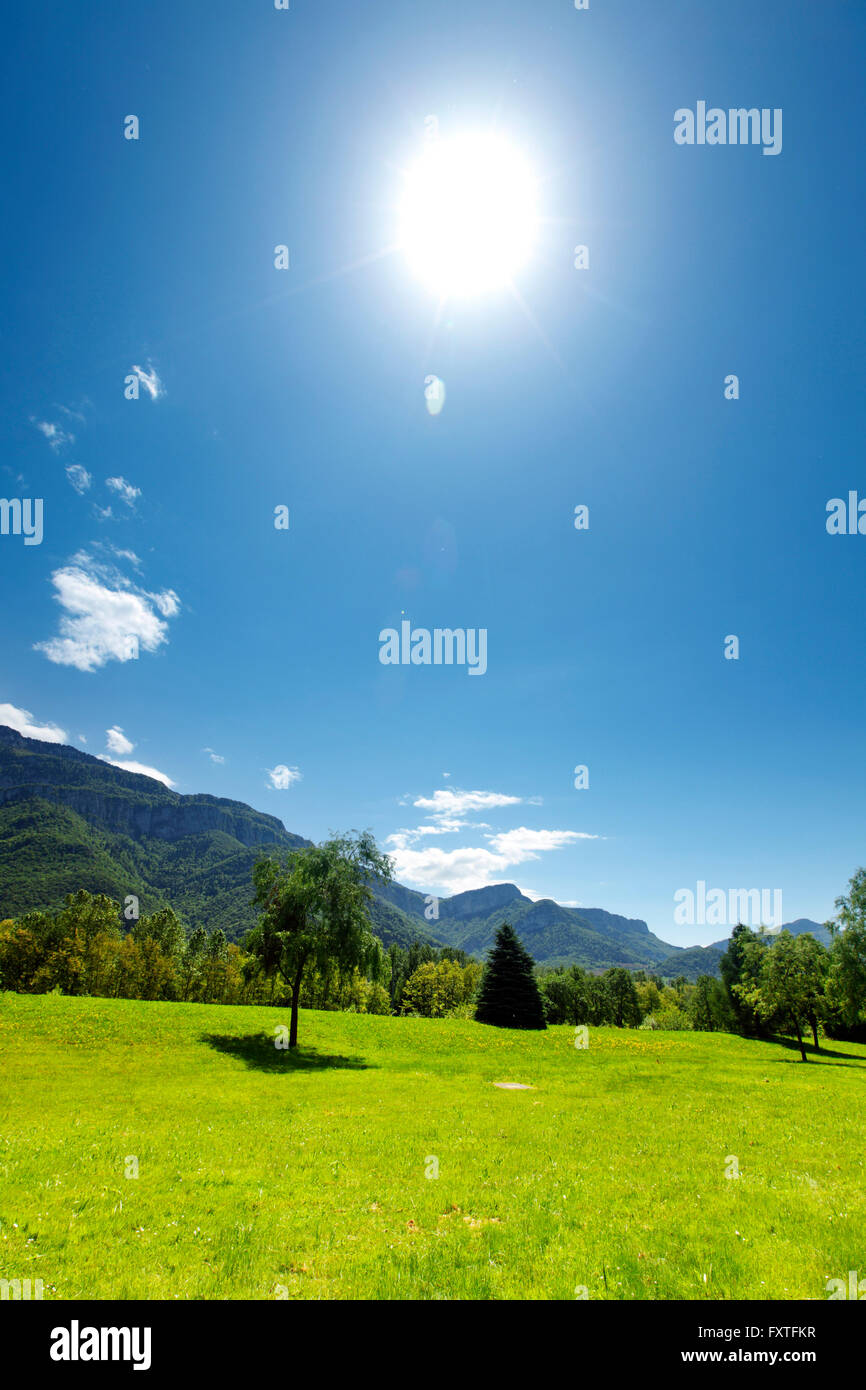 a beautiful view of the alps tree on grass field Stock Photo - Alamy