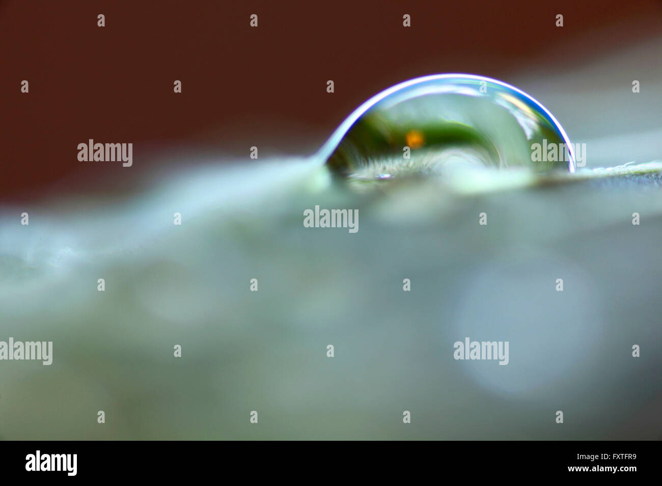 water drop macro close up Stock Photo - Alamy