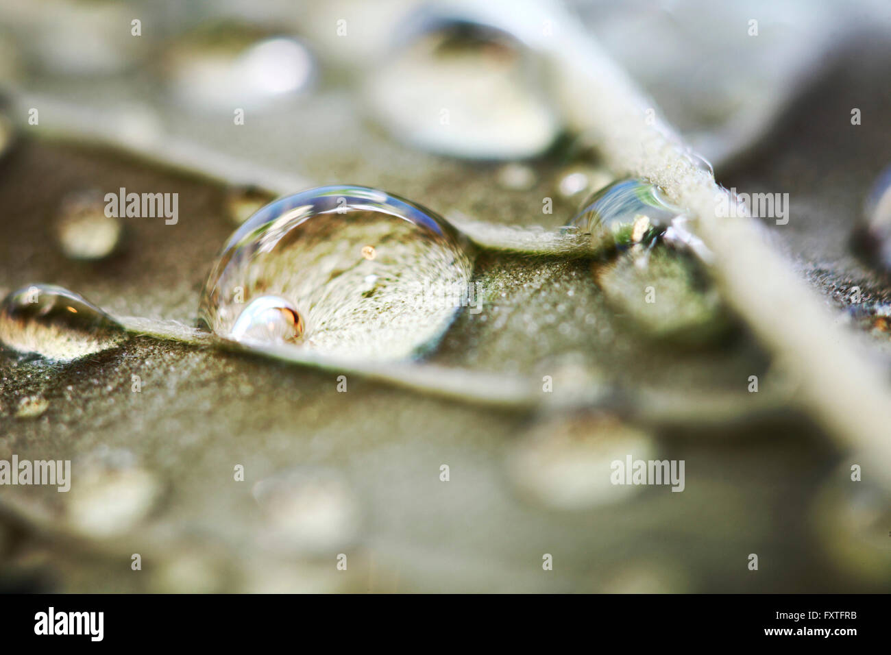 water drop macro close up Stock Photo - Alamy