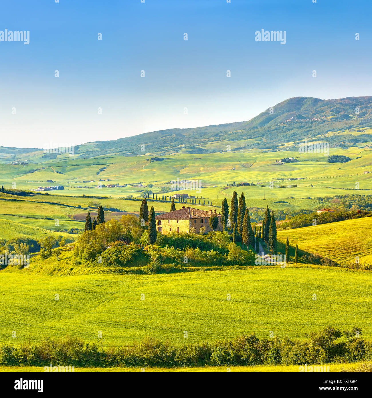 Tuscany at spring Stock Photo - Alamy