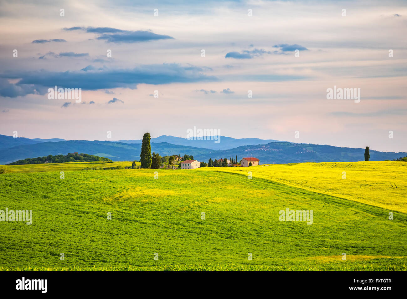 Tuscany at spring Stock Photo - Alamy