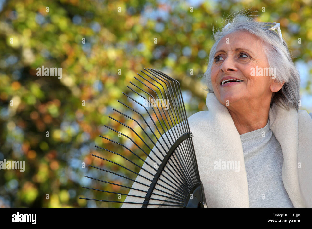 Elderly lady raking leaves Stock Photo - Alamy