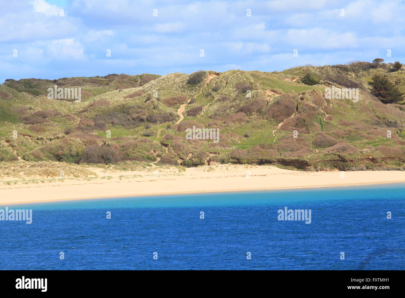 Sand dunes near Rock, Camel estuary, North Cornwall, England, UK Stock ...