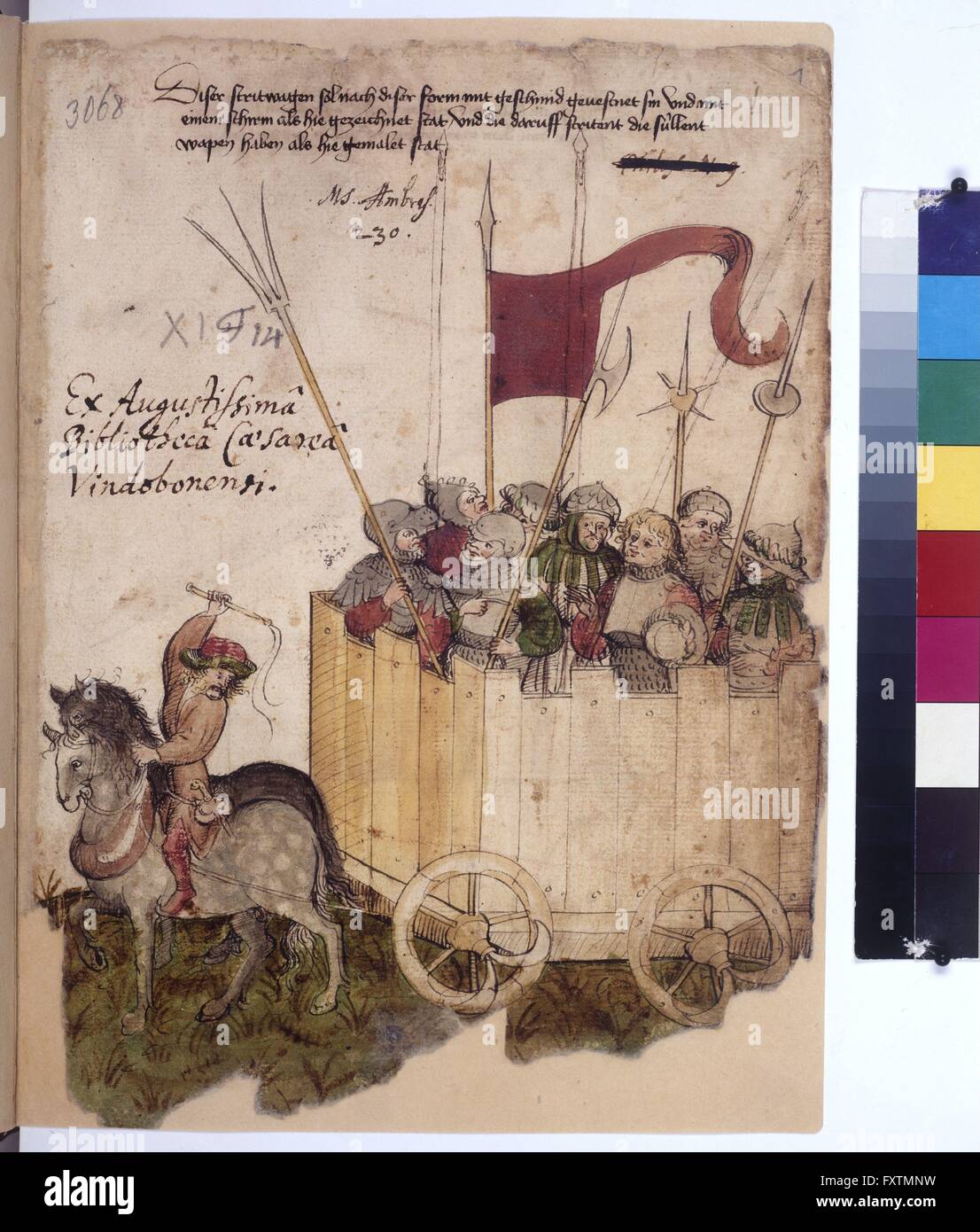 Bellifortis High Resolution Stock Photography and Images - Alamy