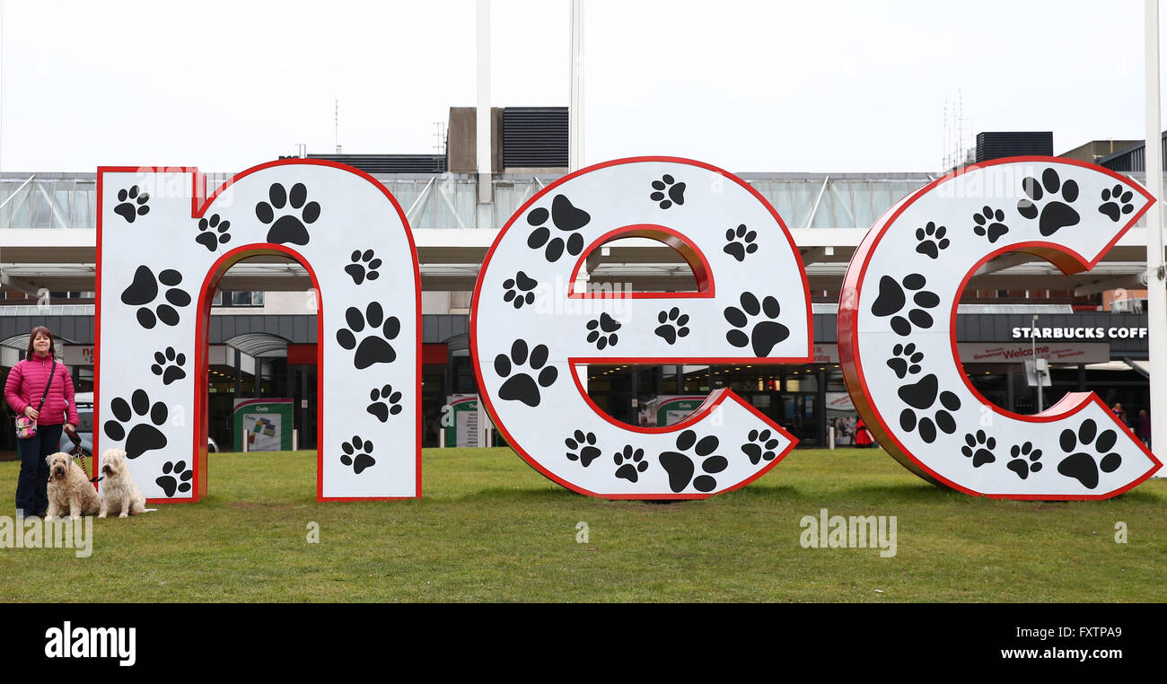 Crufts dog show nec hi-res stock photography and images - Alamy