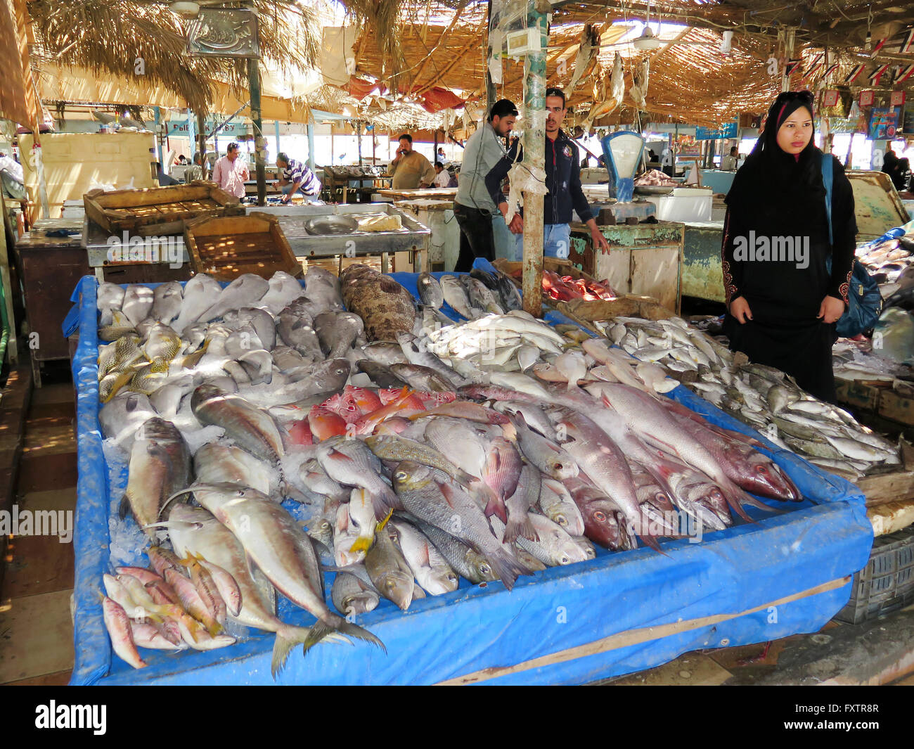 Fischmarkt, Hurghada, Aegypten Stock Photo - Alamy