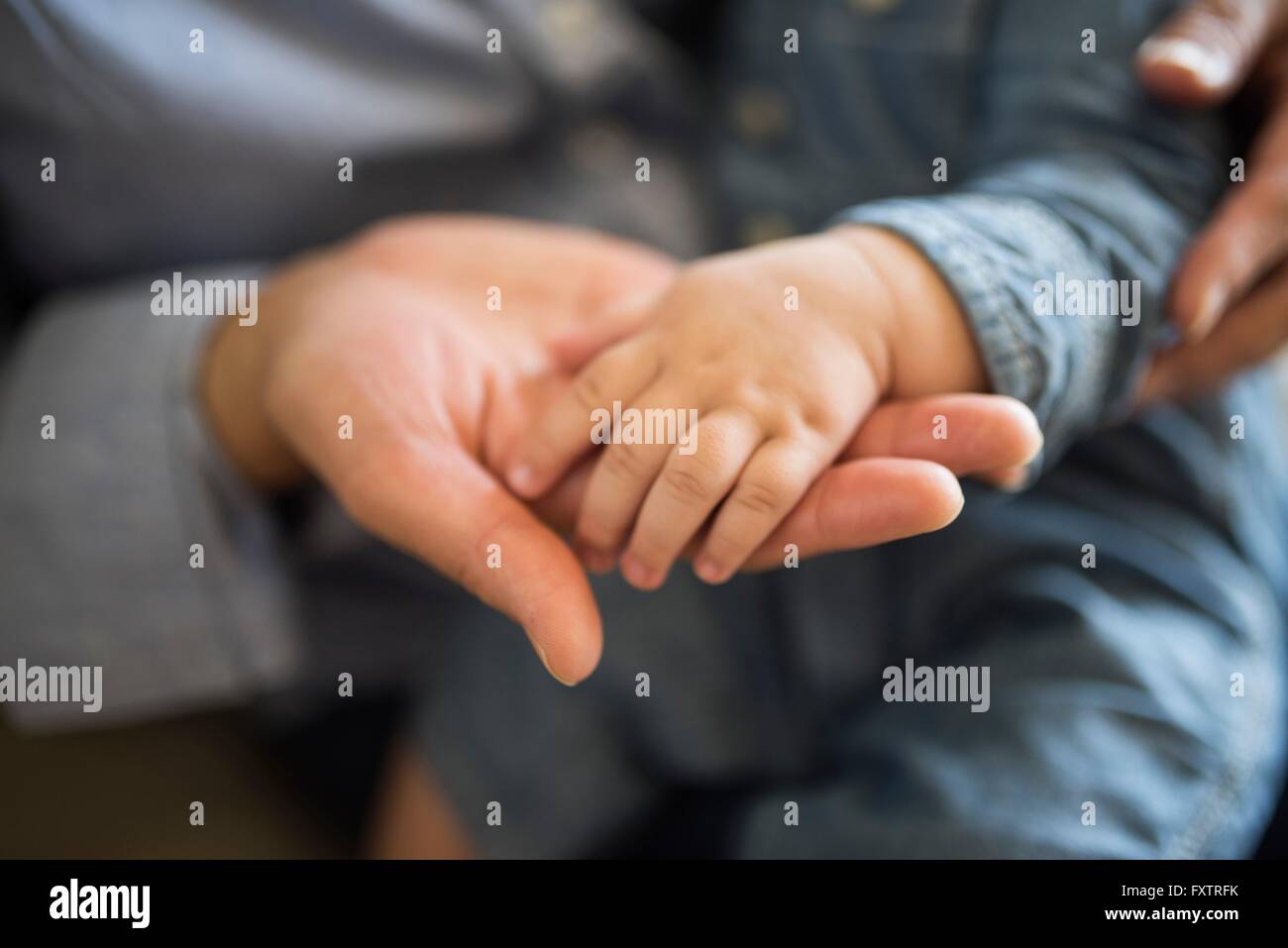 Baby's hand on adult's hand Stock Photo - Alamy