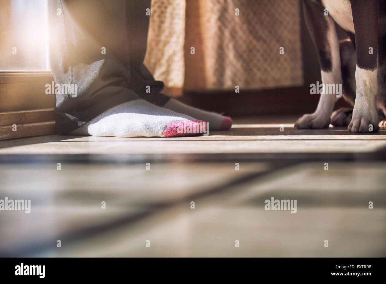 Worms eye hi-res stock photography and images - Alamy