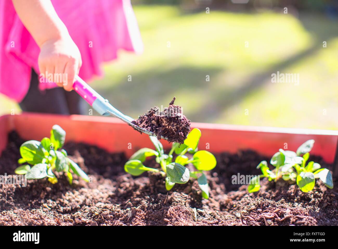Children digging in garden hi-res stock photography and images - Alamy