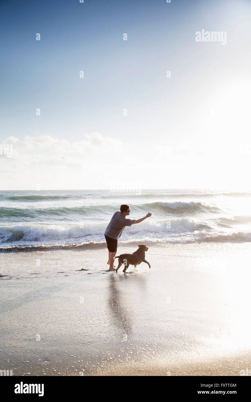 Man chasing dog on beach hi-res stock photography and images - Alamy