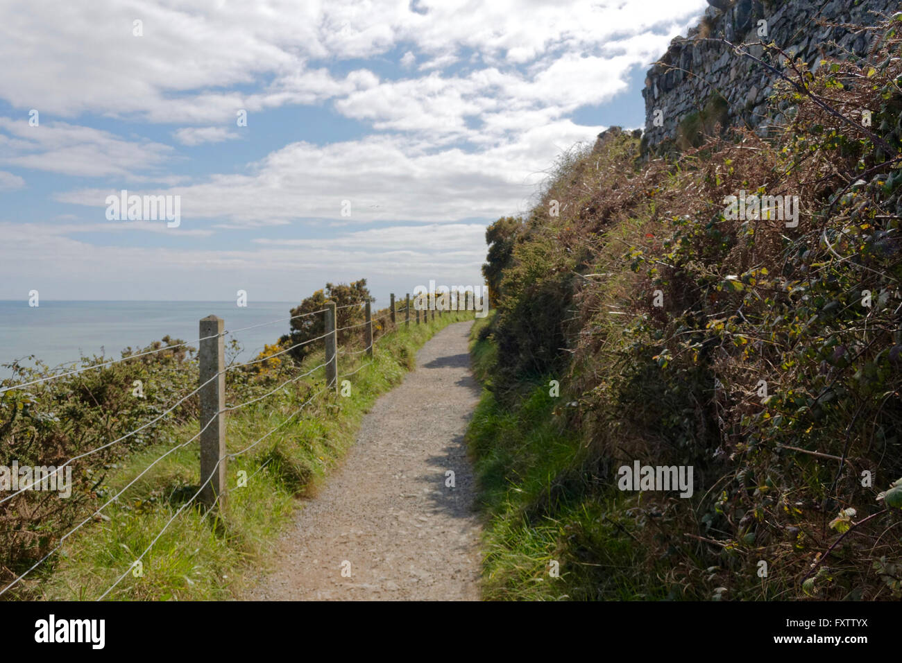 Bray greystones cliff walk hi-res stock photography and images - Alamy