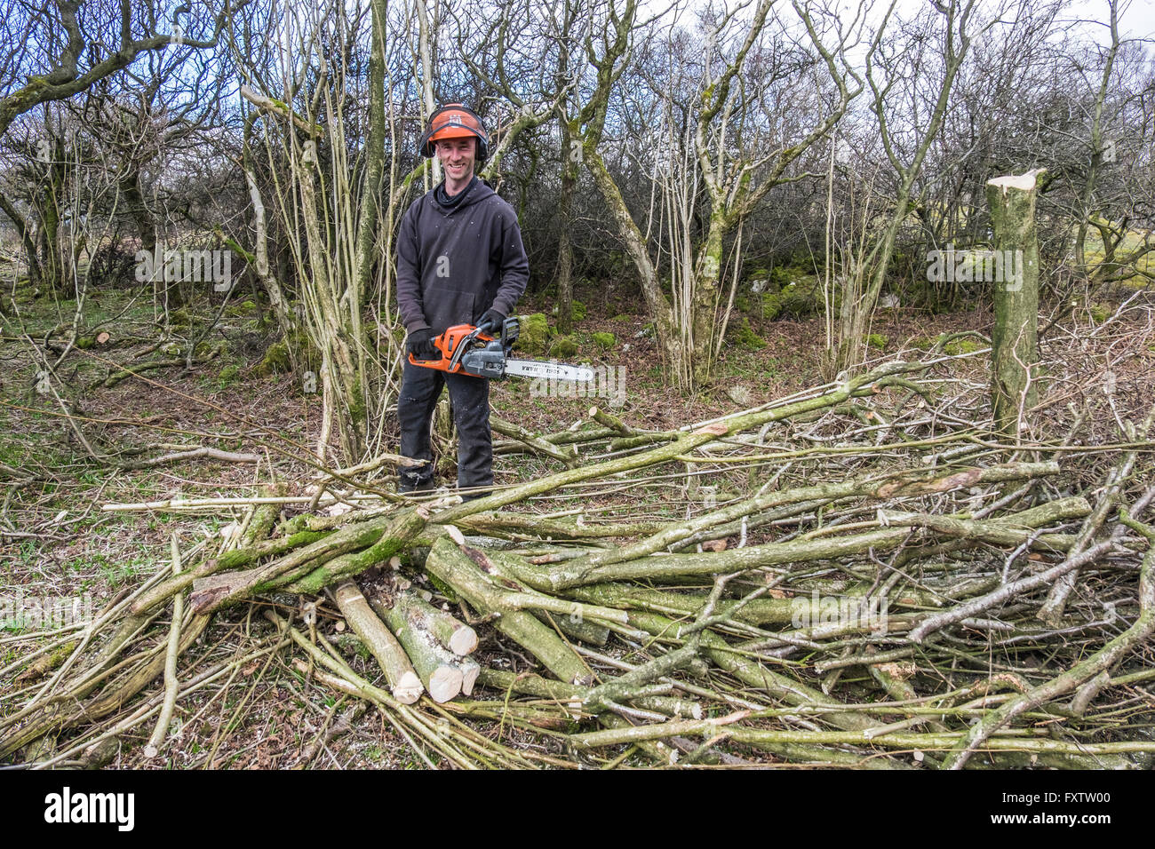 Woodland Management, Men at work cutting back undergrowth from the ...
