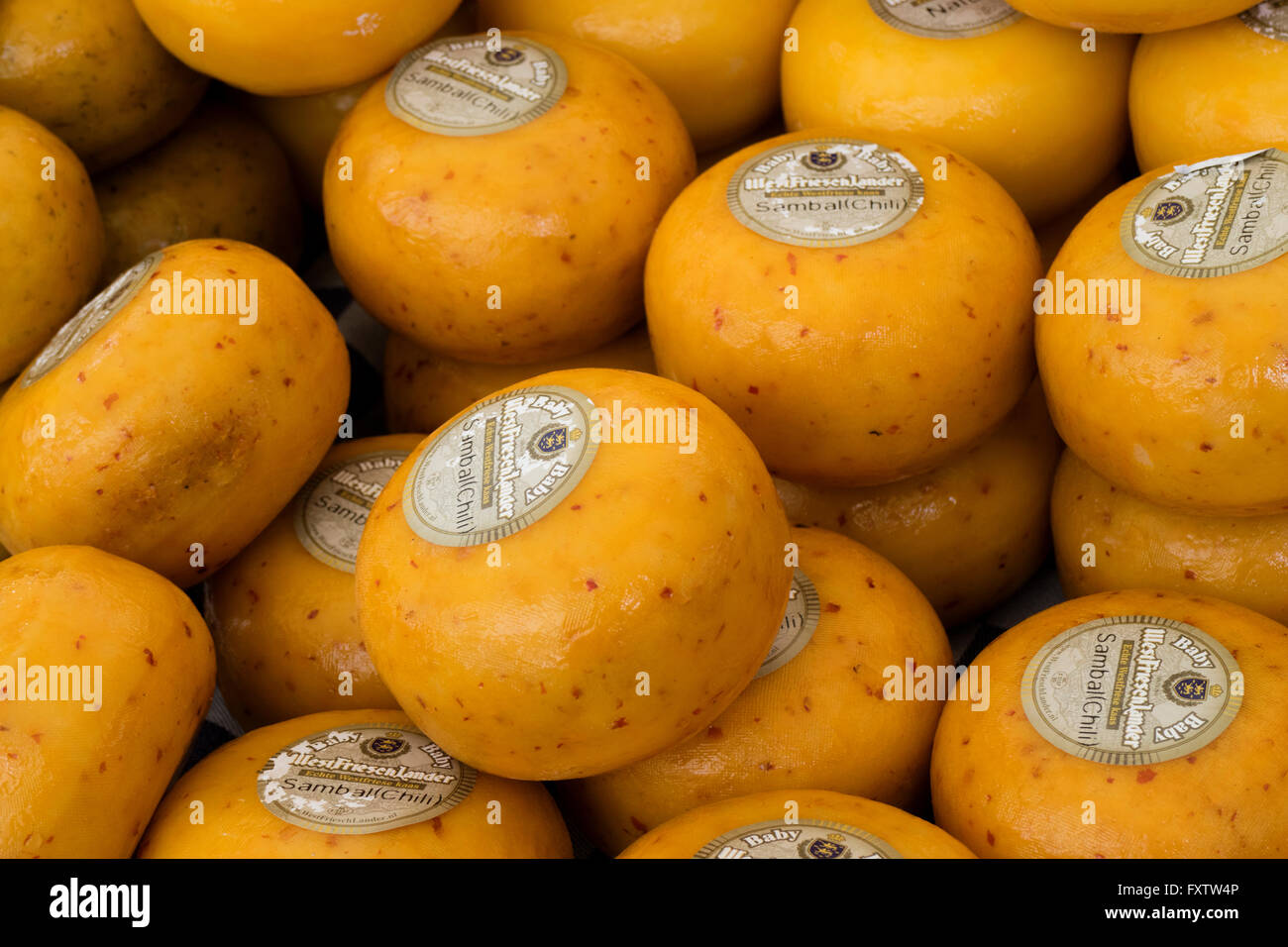 Traditional Gouda spiced cheeses with sambal and chili herbs Stock ...