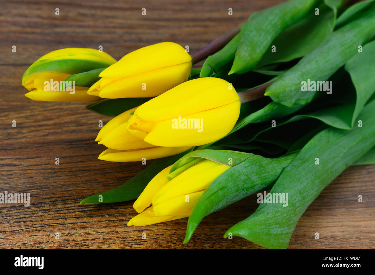 Beautiful Yellow tulips on Wood Background Stock Photo - Alamy