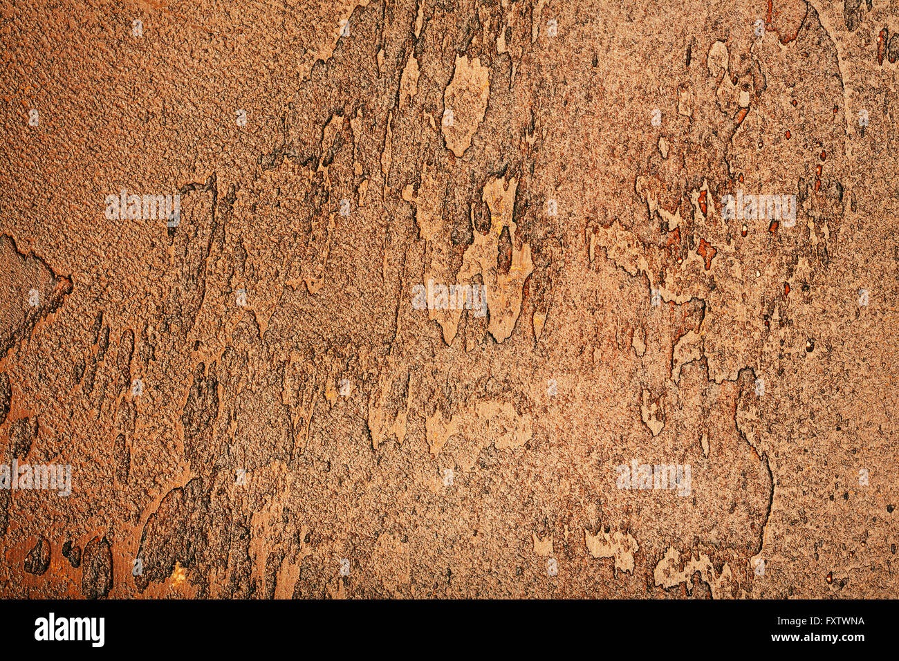Brown bumpy wall stucco texture background Stock Photo - Alamy