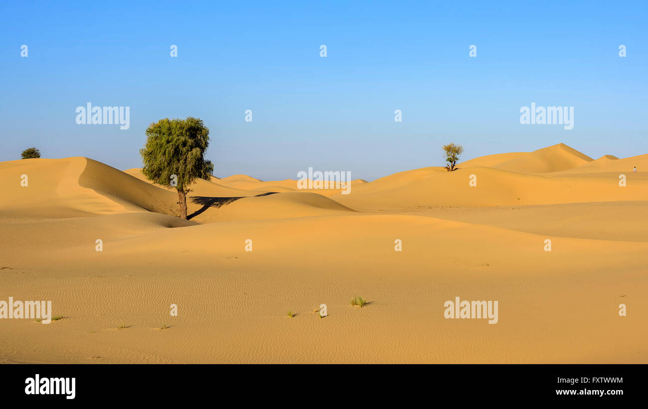 Nice desert hi-res stock photography and images - Alamy