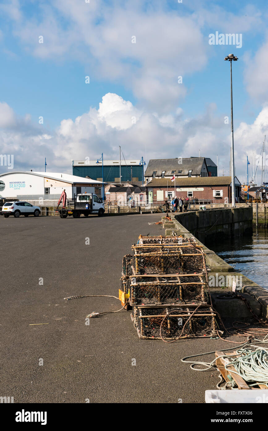 Amble harbour hi-res stock photography and images - Alamy