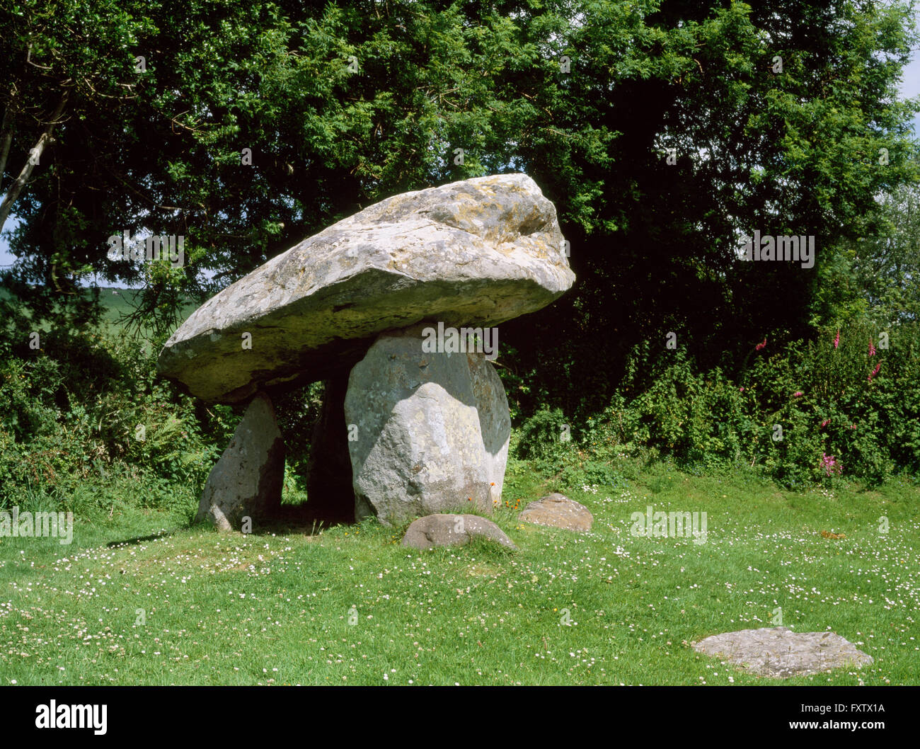 Looking NNE at the burial chamber uprights and wedge-shaped capstone of ...