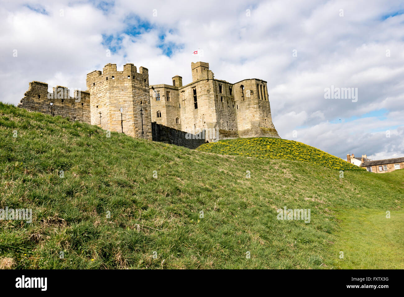 Warkworth castle daffodil hi-res stock photography and images - Alamy