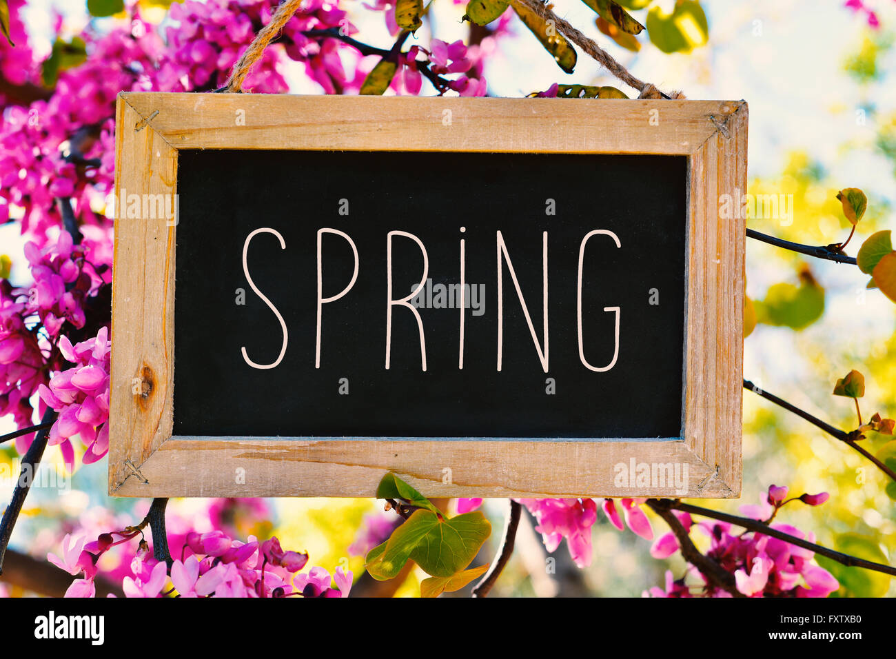 Word spring written flowers hi-res stock photography and images - Alamy
