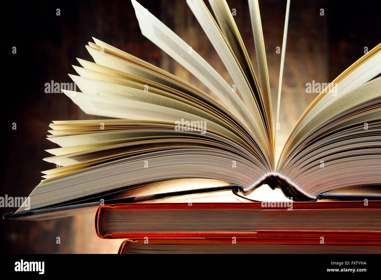 Books and literature hi-res stock photography and images - Alamy