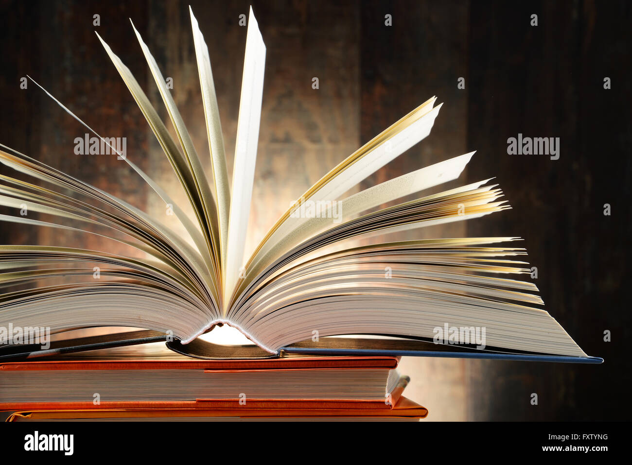 Literature and education hi-res stock photography and images - Alamy
