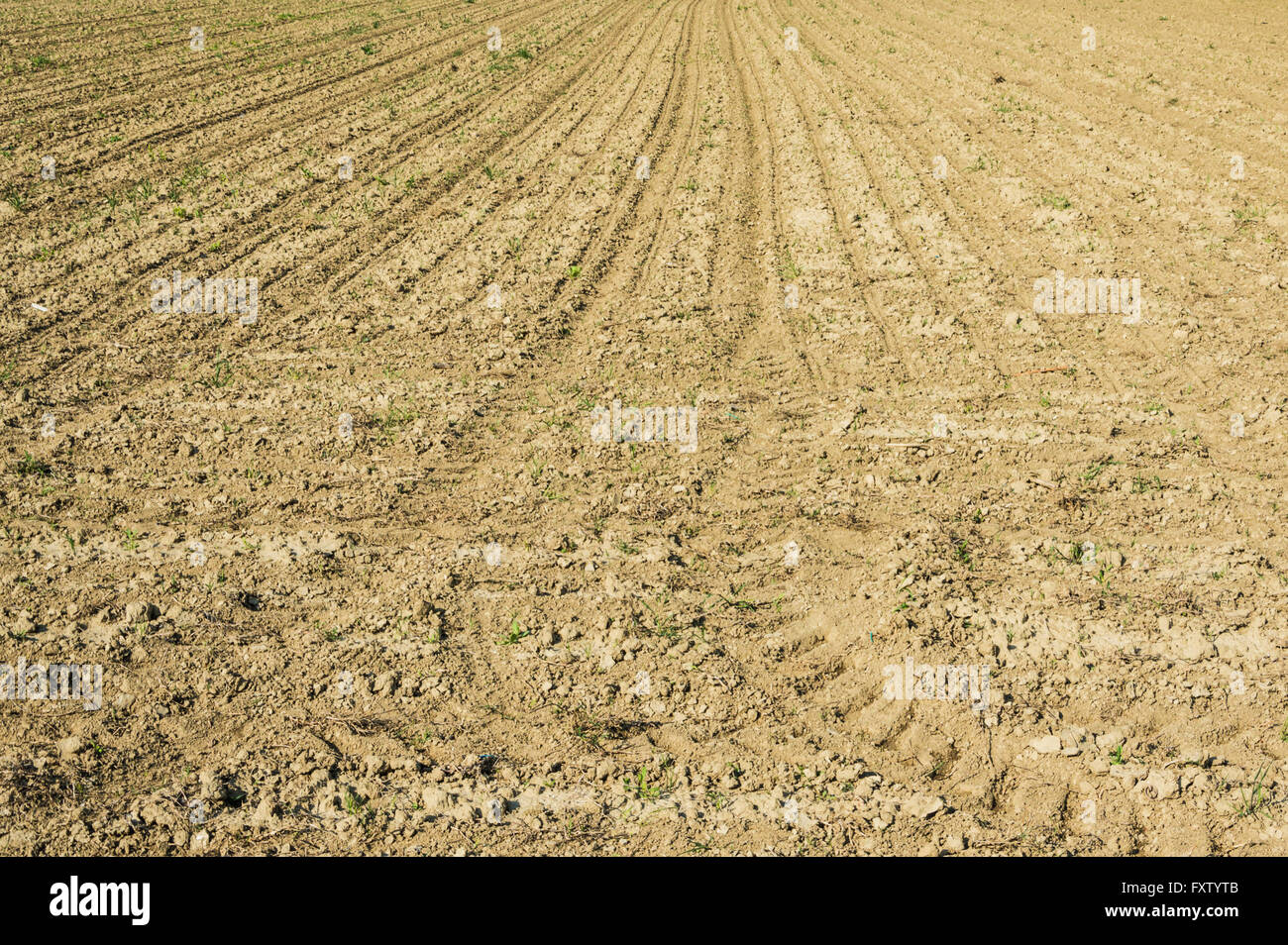 Cultivated texture hi-res stock photography and images - Alamy